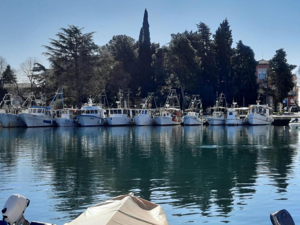 Old Harbour, Novigrad Istria (precios actualizados 2025)