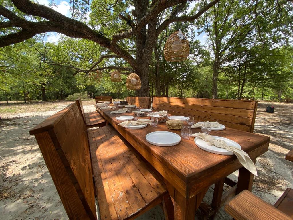 Tentrr Signature Site - Camp Discovery T2, Cumby (precios actualizados ...