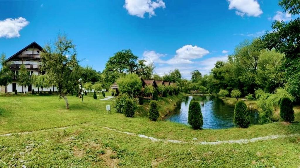 PASTRAVARIA ALINA, Sîrbi (updated prices 2024)