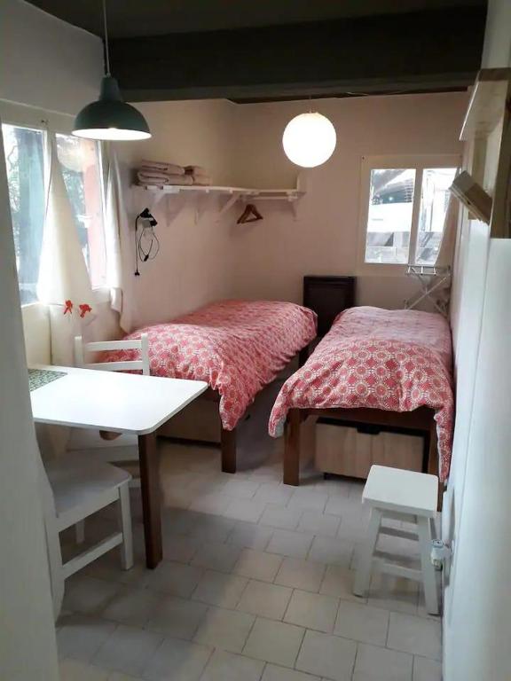 Trabun, San Martín de los Andes (precios actualizados para 2026)