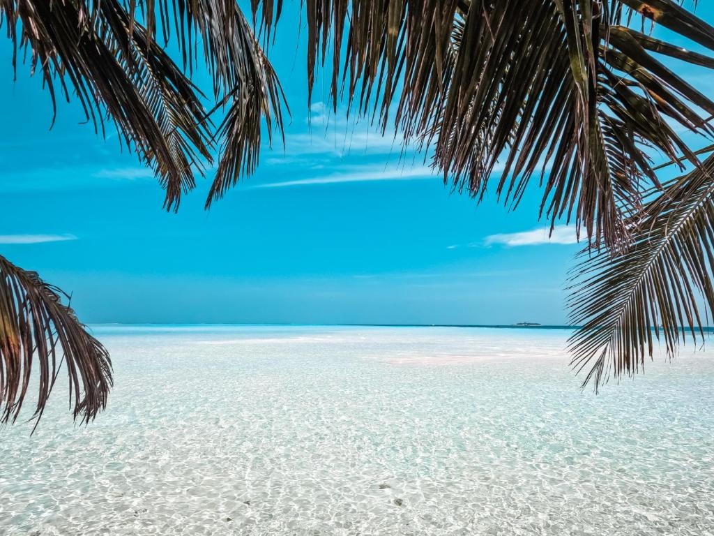 SIS Tourist Villa, Maldives, Mathiveri – Updated 2023 Prices