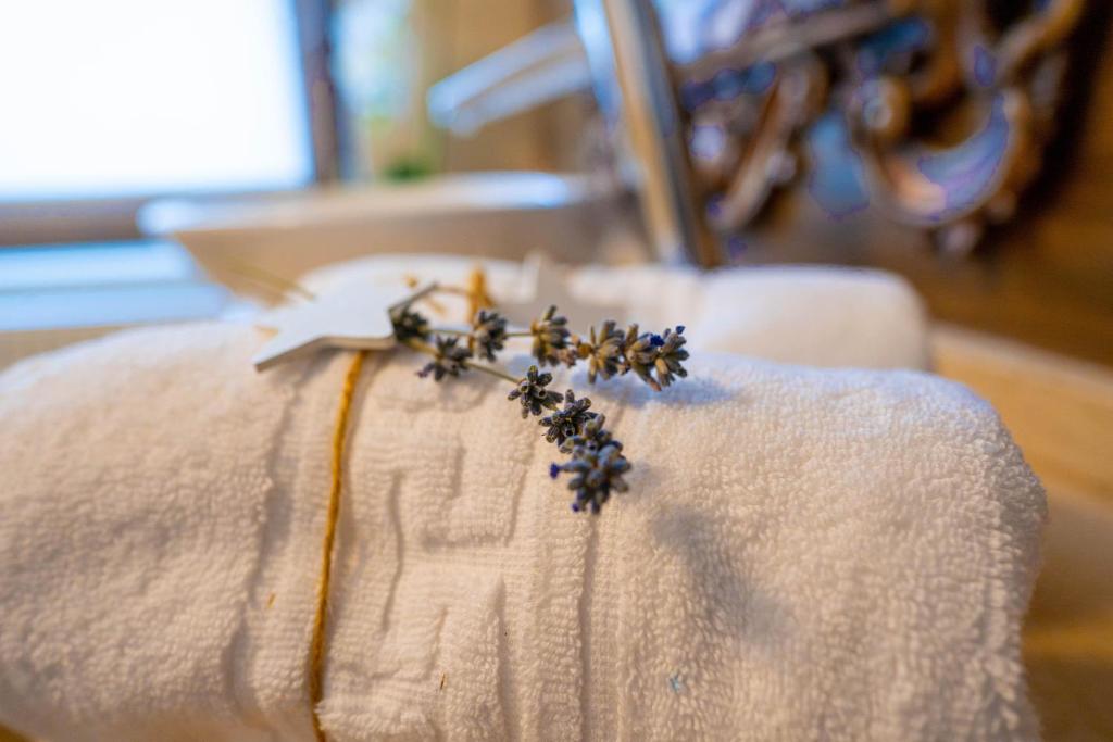 Gradinile Romane, Hangu (updated prices 2025)