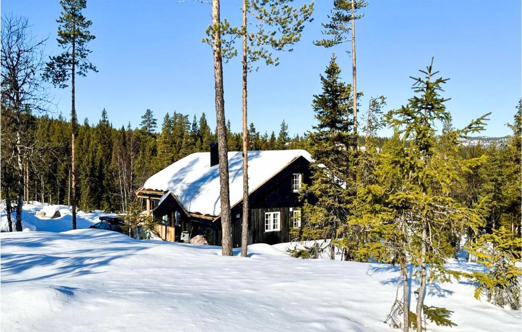 Beautiful home in Nesbyen with Sauna, WiFi and 4 Bedrooms, Nesbyen ...