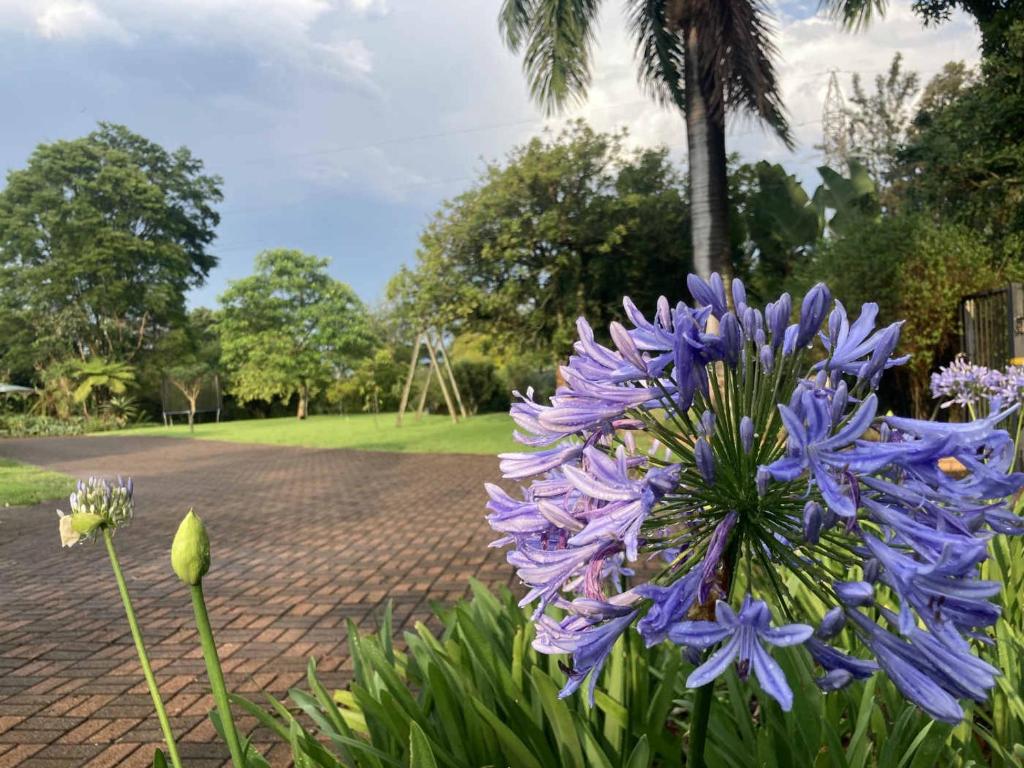 ilanda Guest House, White River (updated prices 2026)