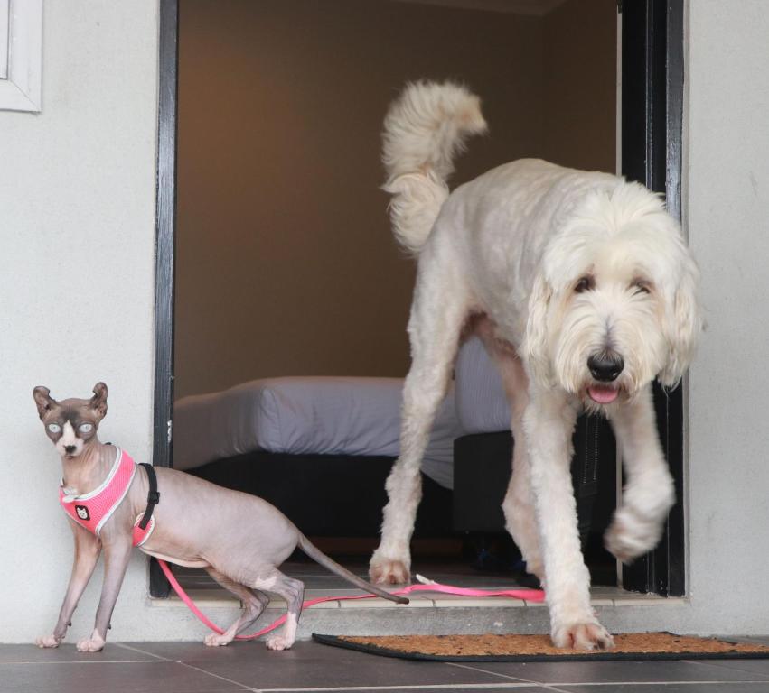 Alara Motor Inn, Mackay (updated prices 2025)