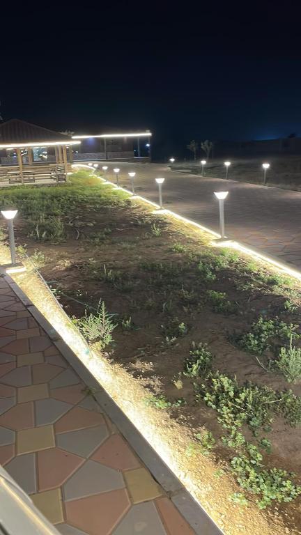 مزرعة السعادة للخيول(المدام), Margham (updated prices 2024)