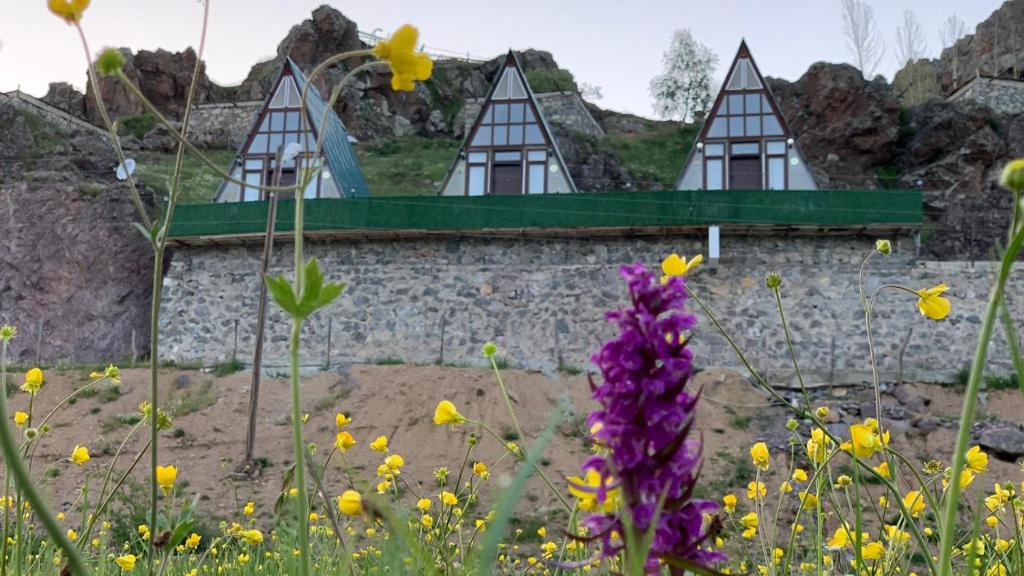 Taşköprü Bungalow Otel Alabalık Tesisi, Arsin (aktualisierte Preise für ...