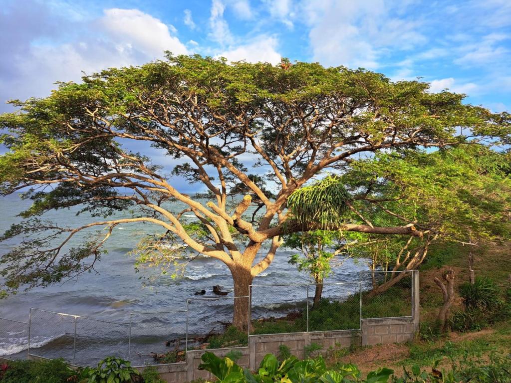 Casa Hacienda El Menco, Rivas (updated prices 2025)