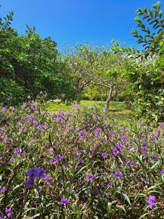 Casa Hacienda El Menco, Rivas (updated prices 2025)