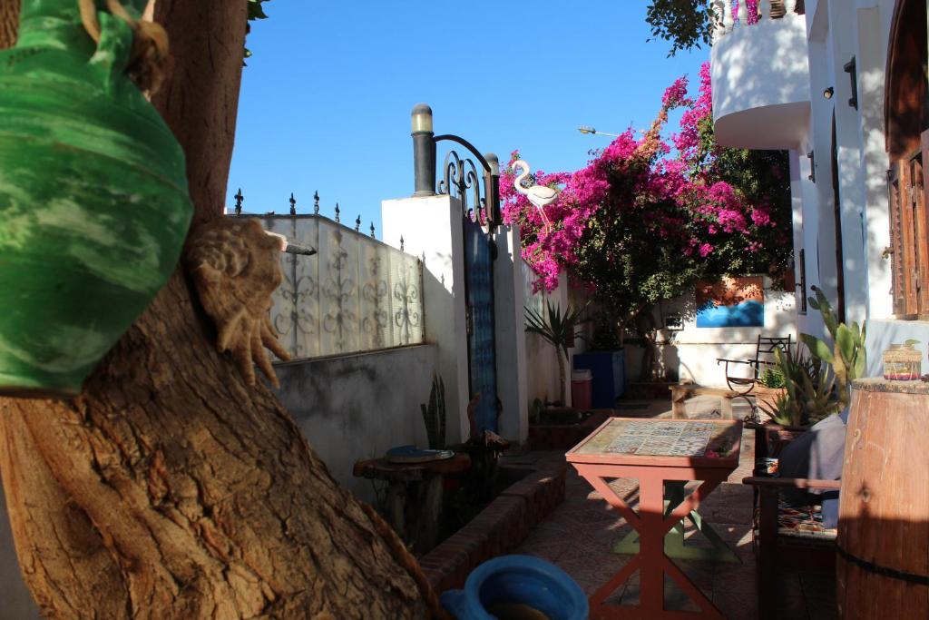 Villa Andalusia Dahab, Dahab (updated prices 2024)