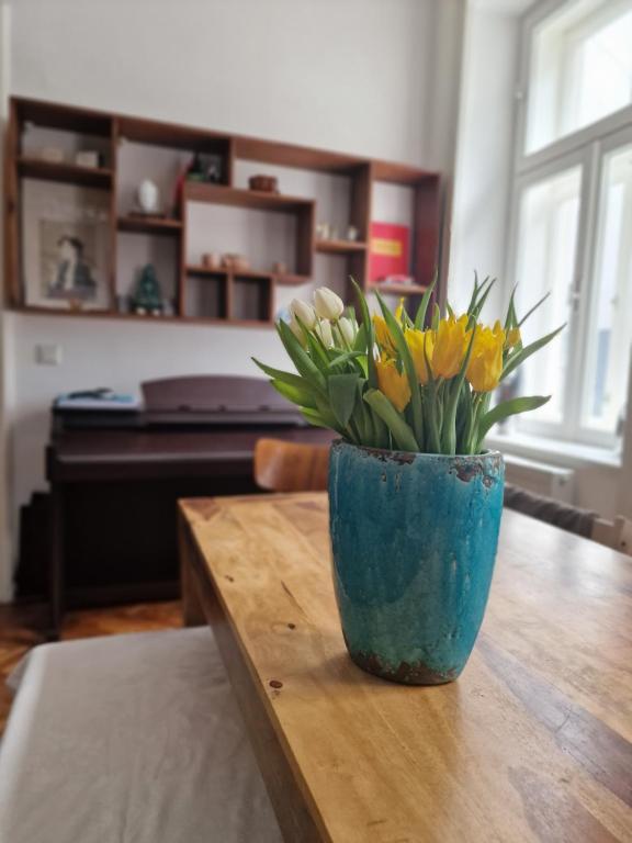 4 seasons apartment, Vienna (updated prices 2026)