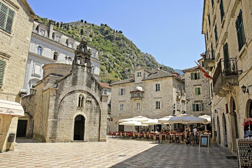 aVINS, Ivanica (updated prices 2025)