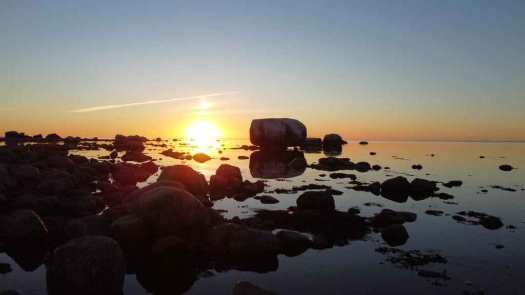 Marika Puhkeküla - Metsanurga Öömaja "shared bathroom", Nõva (updated prices 2025)