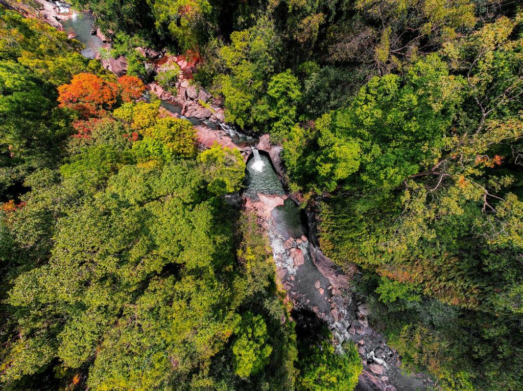 Bambara Ella Agro Resort & Camping, Haputale – Updated 2023 Prices