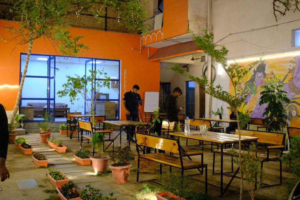 Live Free Hostel Varanasi, Varanasi – Updated 2024 Prices
