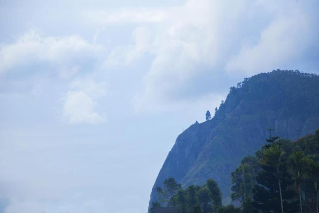 City Heaven Ella, Ella – Updated 2023 Prices