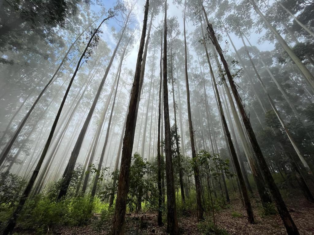 Riverston Nature Villa, Rattota (updated prices 2025)