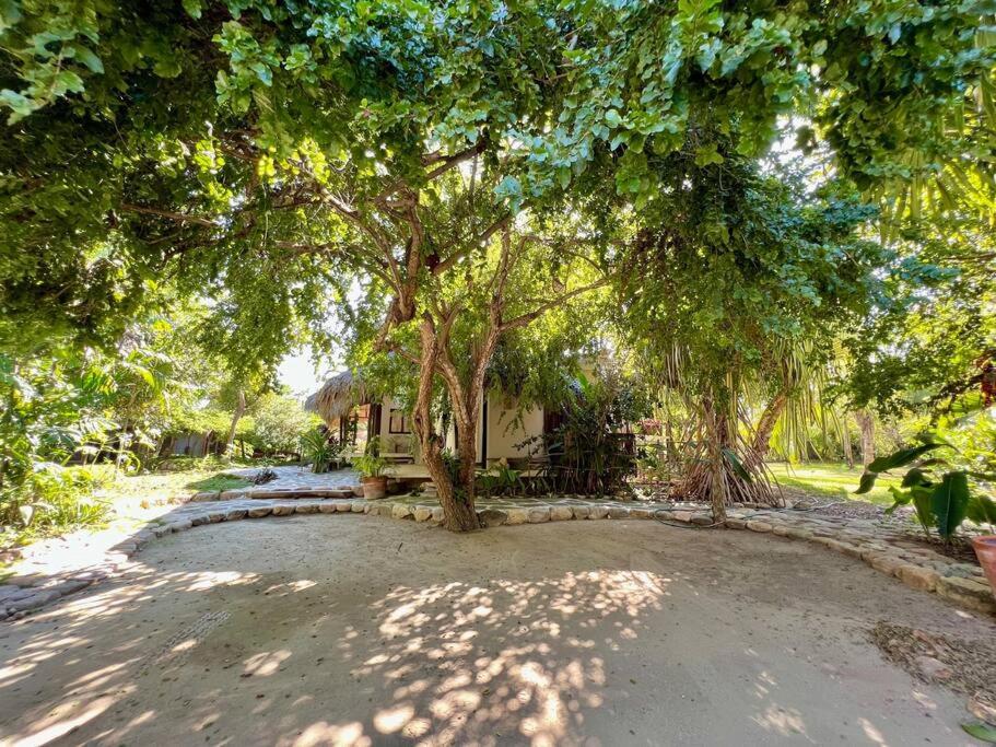 Casa KUUL, elegant fusion of house and garden., Puerto Escondido ...