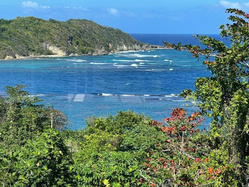 Robin Bay Hidden Gem - SuiteTrails