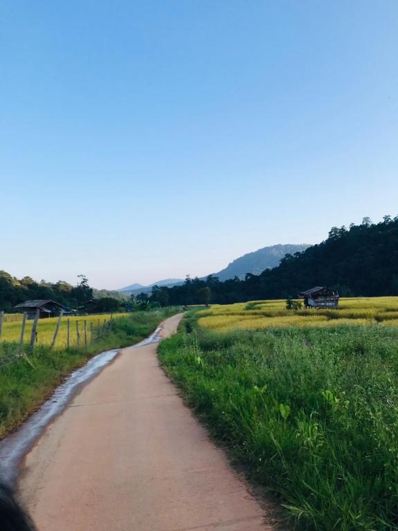 Motho Homestay โมโทโฮมสเตย์, Chom Thong (updated prices 2025)