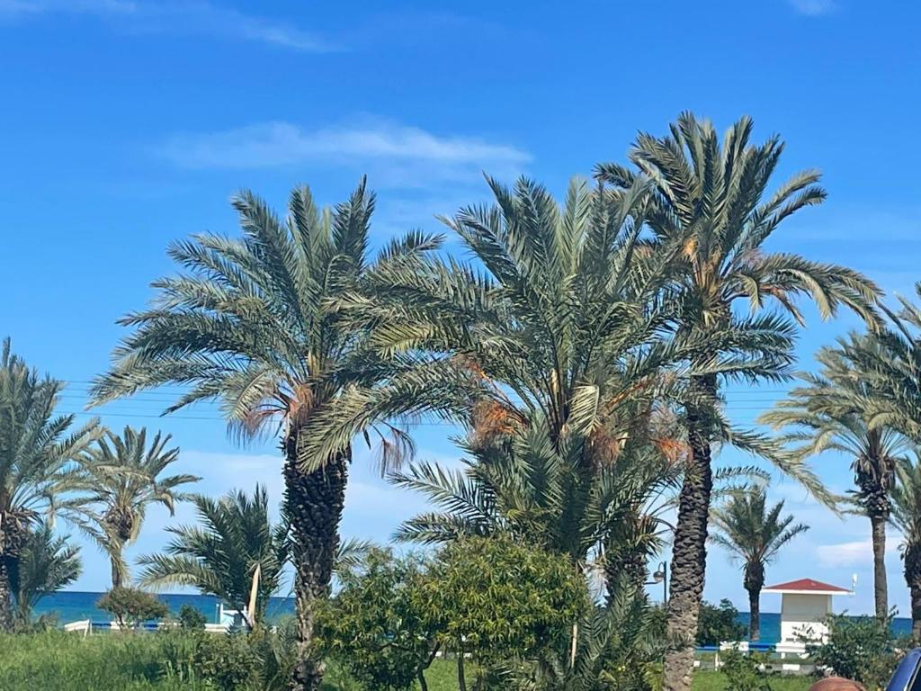 Casa Latchi Luxury Maisonette, Polis Chrysochous (updated prices 2025)