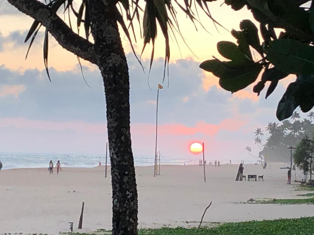 Mandy House, Habaraduwa (updated prices 2025)