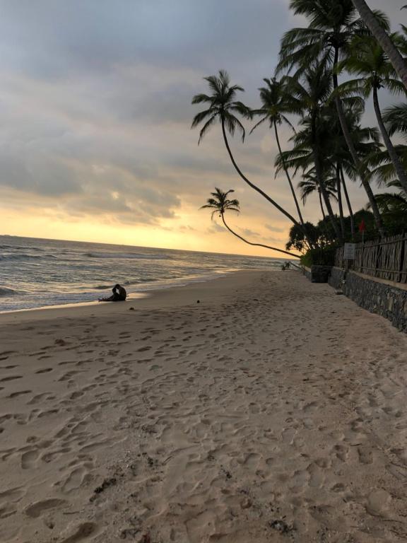 Mandy House, Habaraduwa (updated prices 2025)