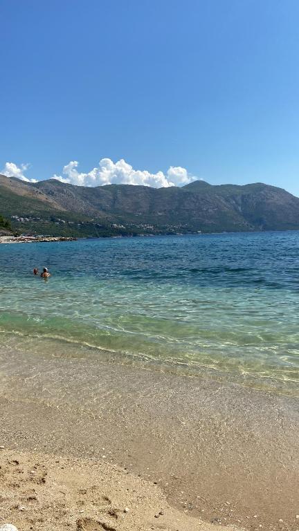 Ivanica Sveto, Ivanica (updated prices 2025)