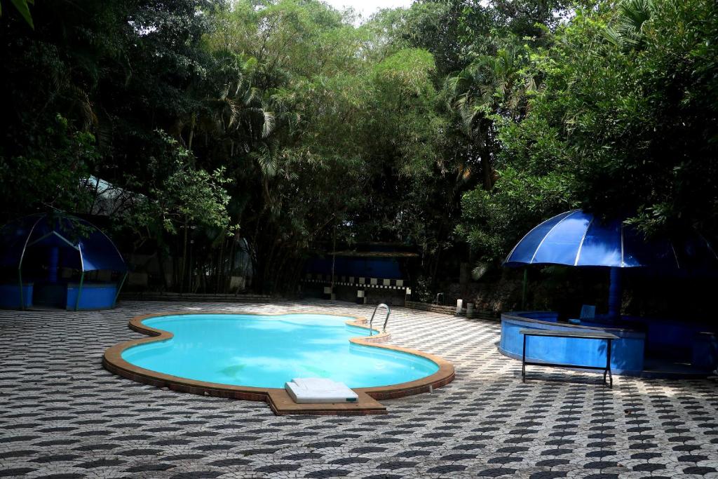 Spring Muunnar, Munnar, Munnar (updated prices 2025)