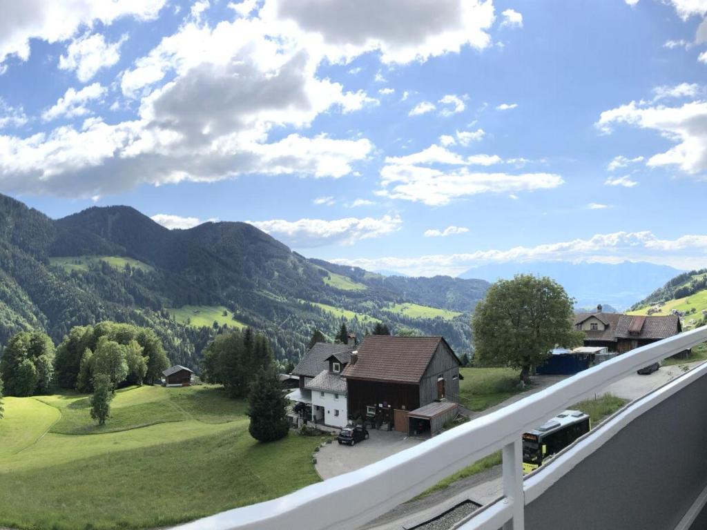 Walli Laterns, Laterns – Updated 2023 Prices