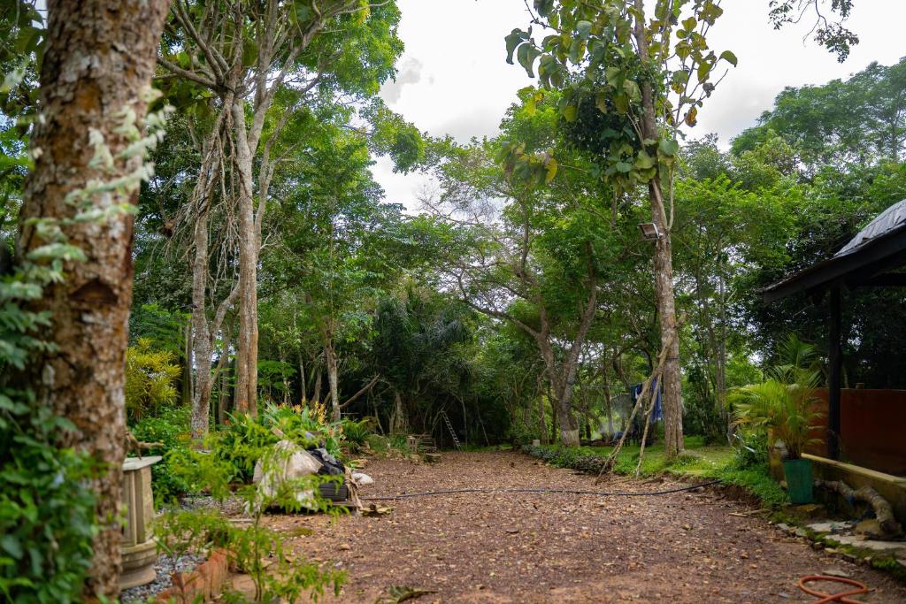 Nature's Cradle, Obosomasi (tarifs actualisés, 2025)