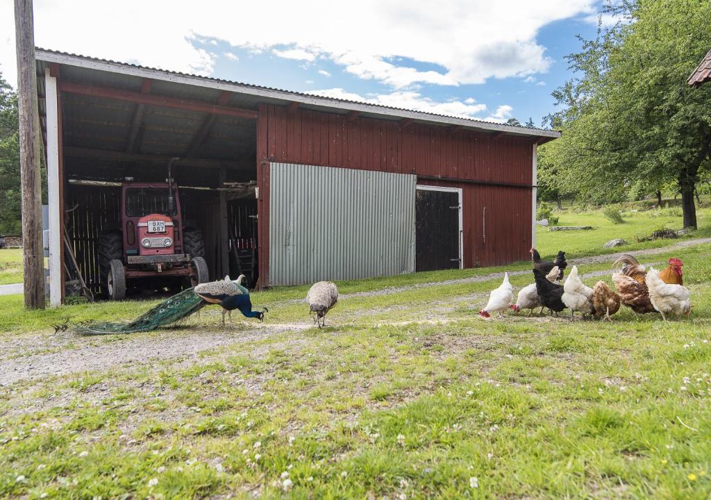 18th Century Farm
