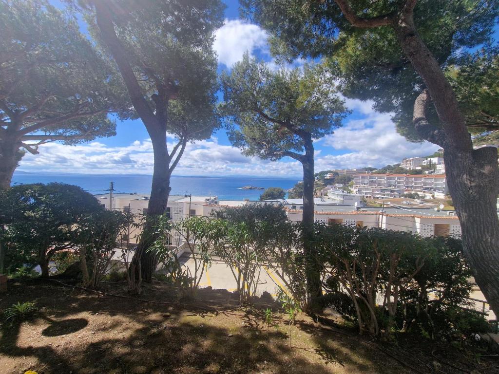 Marcel, Roses (updated prices 2025)