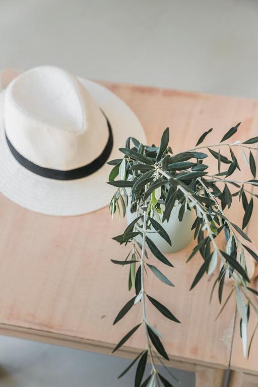 Apollonides Seafront Villa 2 Melete, Lixouri (updated prices 2025)