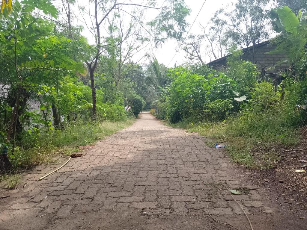 Kon Tree Shade, Dambulla (updated prices 2025)