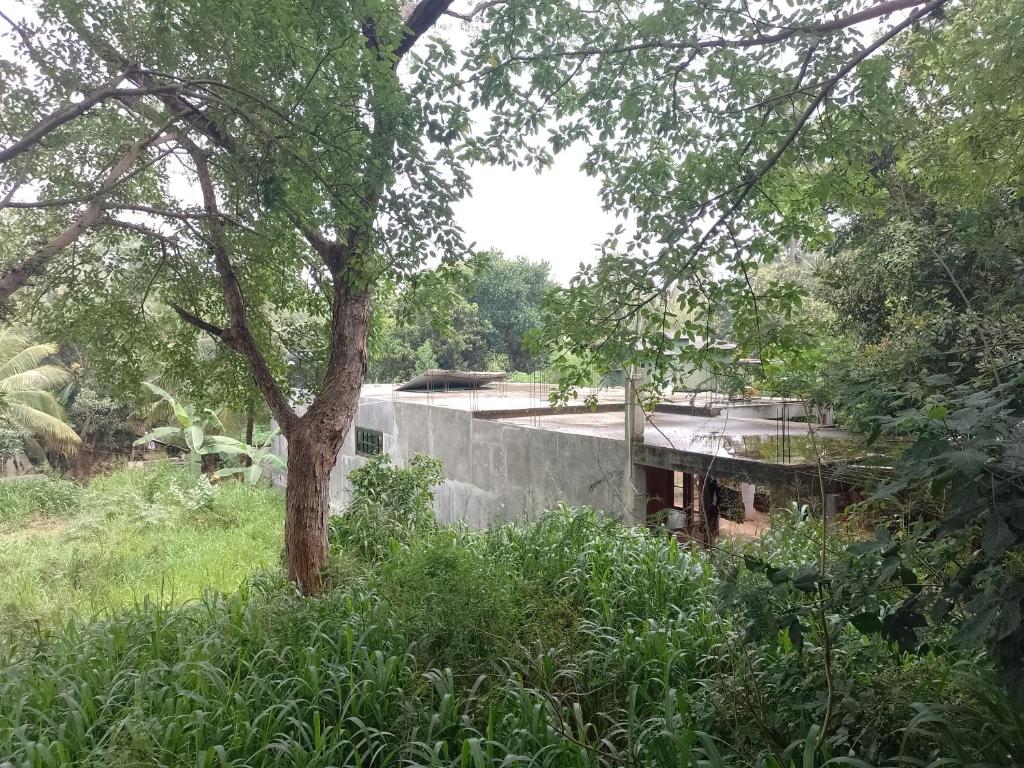 Kon Tree Shade, Dambulla (updated prices 2025)