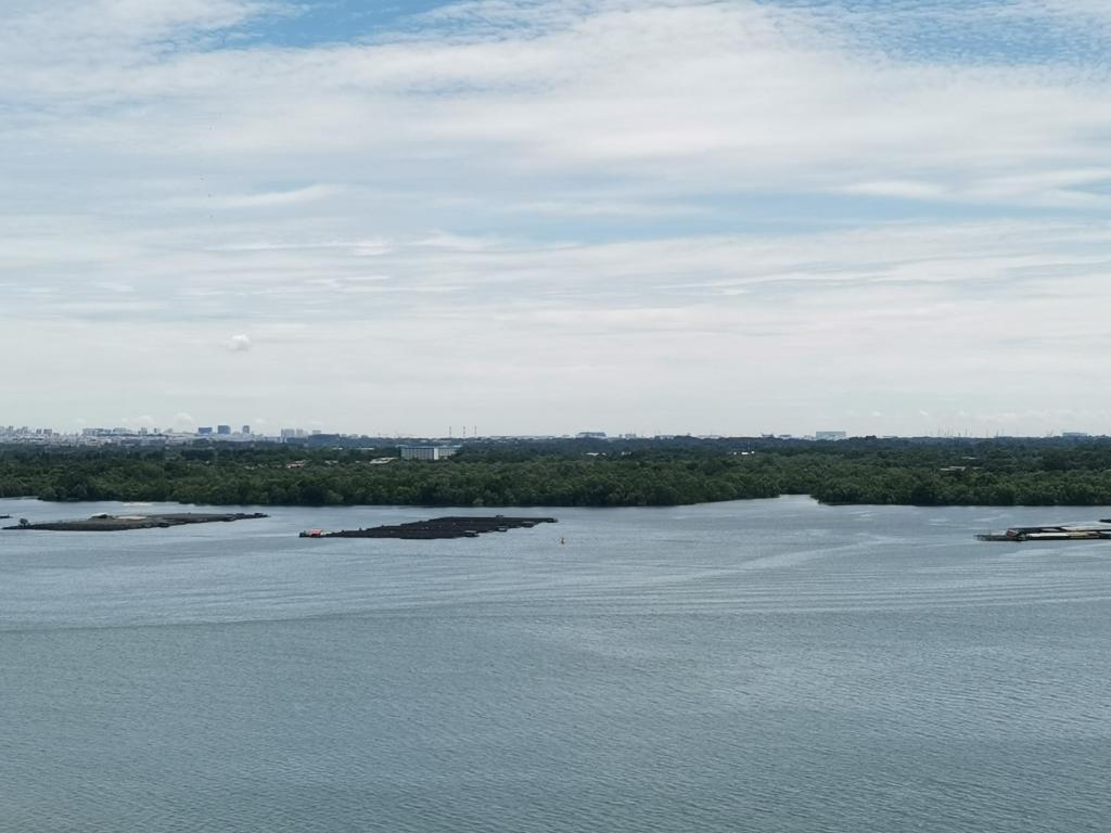 Country Garden Balinese Homestay @Danga Bay, Johor Bahru (updated ...