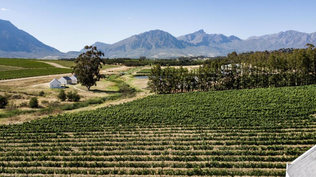 Manley Wine Estate, Tulbagh (updated prices 2025)