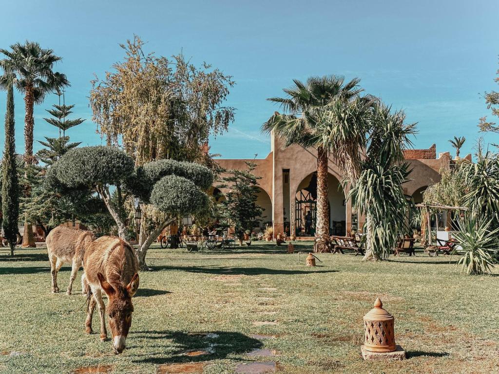 LE BLED DE GRE, Marrakech – Updated 2023 Prices