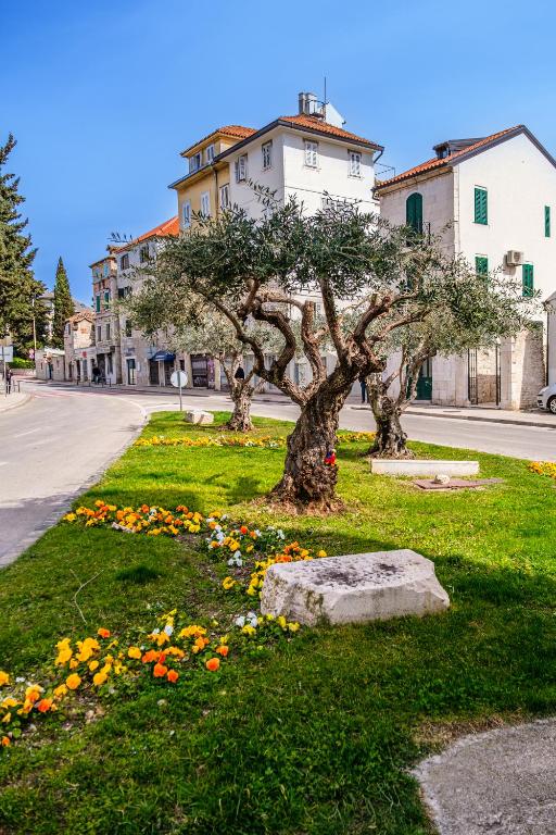 Centar Split Manuš, Split – Updated 2024 Prices