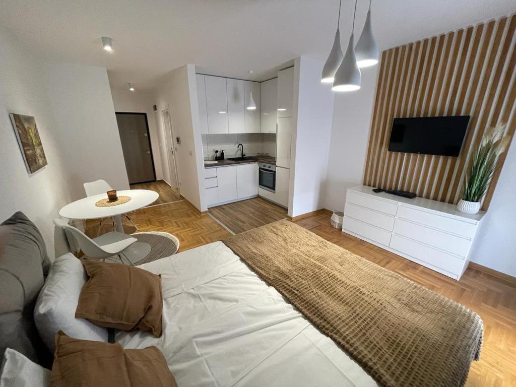 LL65 Apartmens Airport Nikola Tesla, Ledine (updated prices 2025)