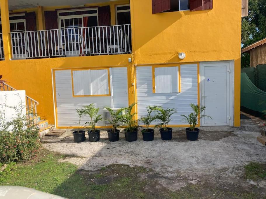 Wanna Bee, Sainte-Anne (updated prices 2025)