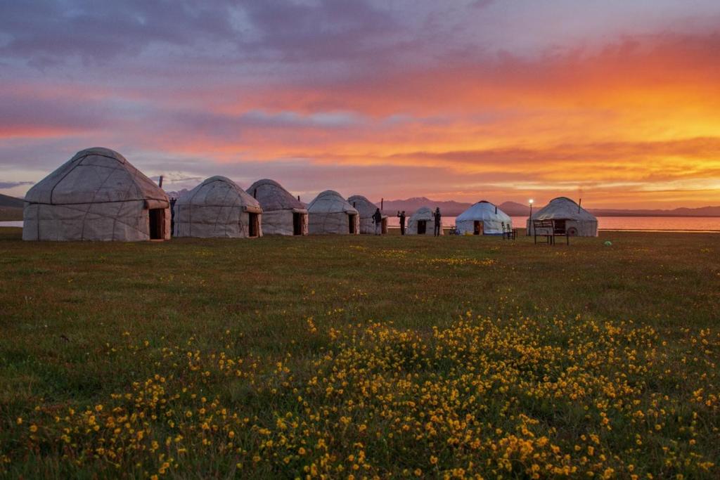 Yurt Camp Erlan at Song Kol Lake, Song-Kul (updated prices 2024)