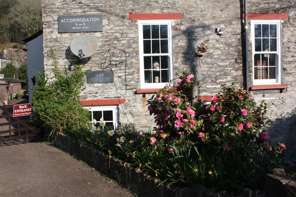 The Flower Mill Cornwall | Best Flower Site
