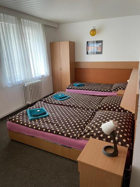 Penzion Valeš, Borovany (aktualisierte Preise für 2025)