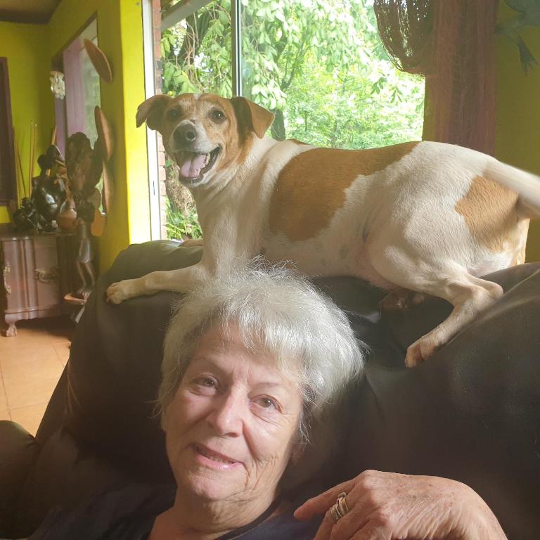 Thathe Dam Lodge, Vhutandabos (updated prices 2025)