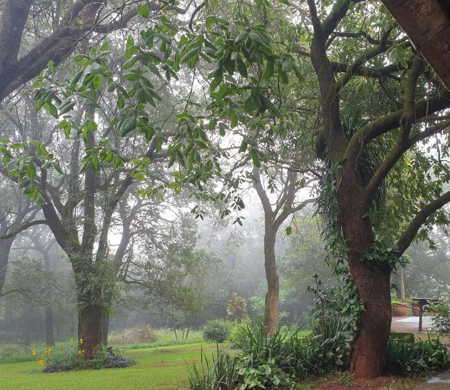 Thathe Dam Lodge, Vhutandabos (updated prices 2025)