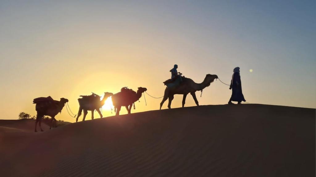 Desert Erg Chigaga Camp, El Gouera (updated prices 2025)