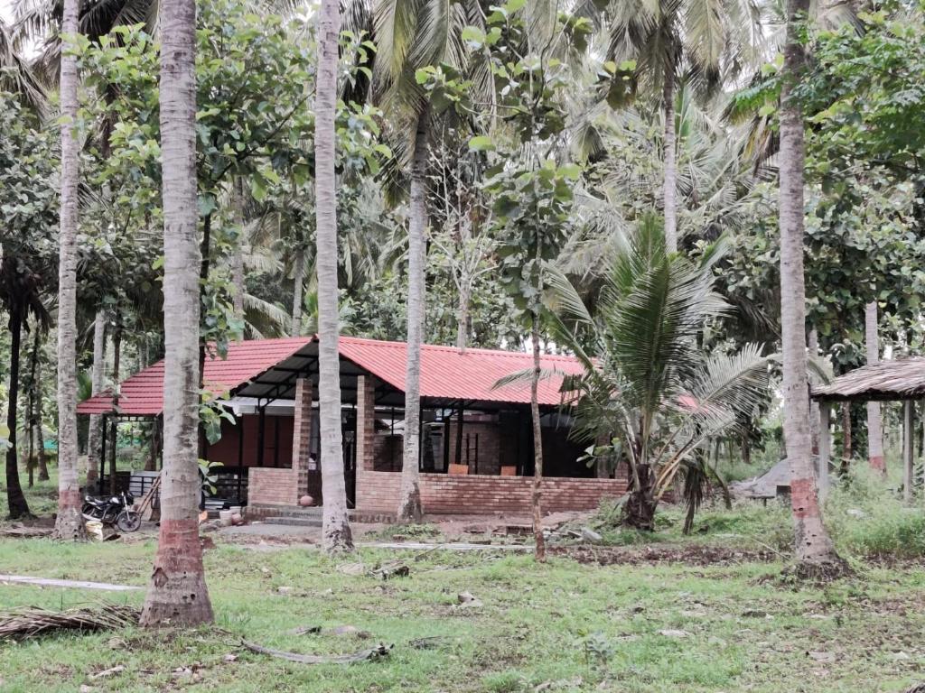 Cosmic Connect Trails Kabini, Antarasante (updated prices 2025)