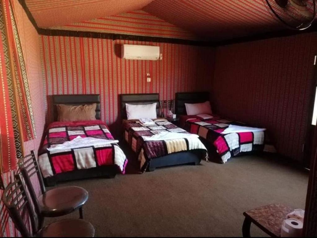 wadi rum Golden Sand, Wadi Rum – Updated 2024 Prices